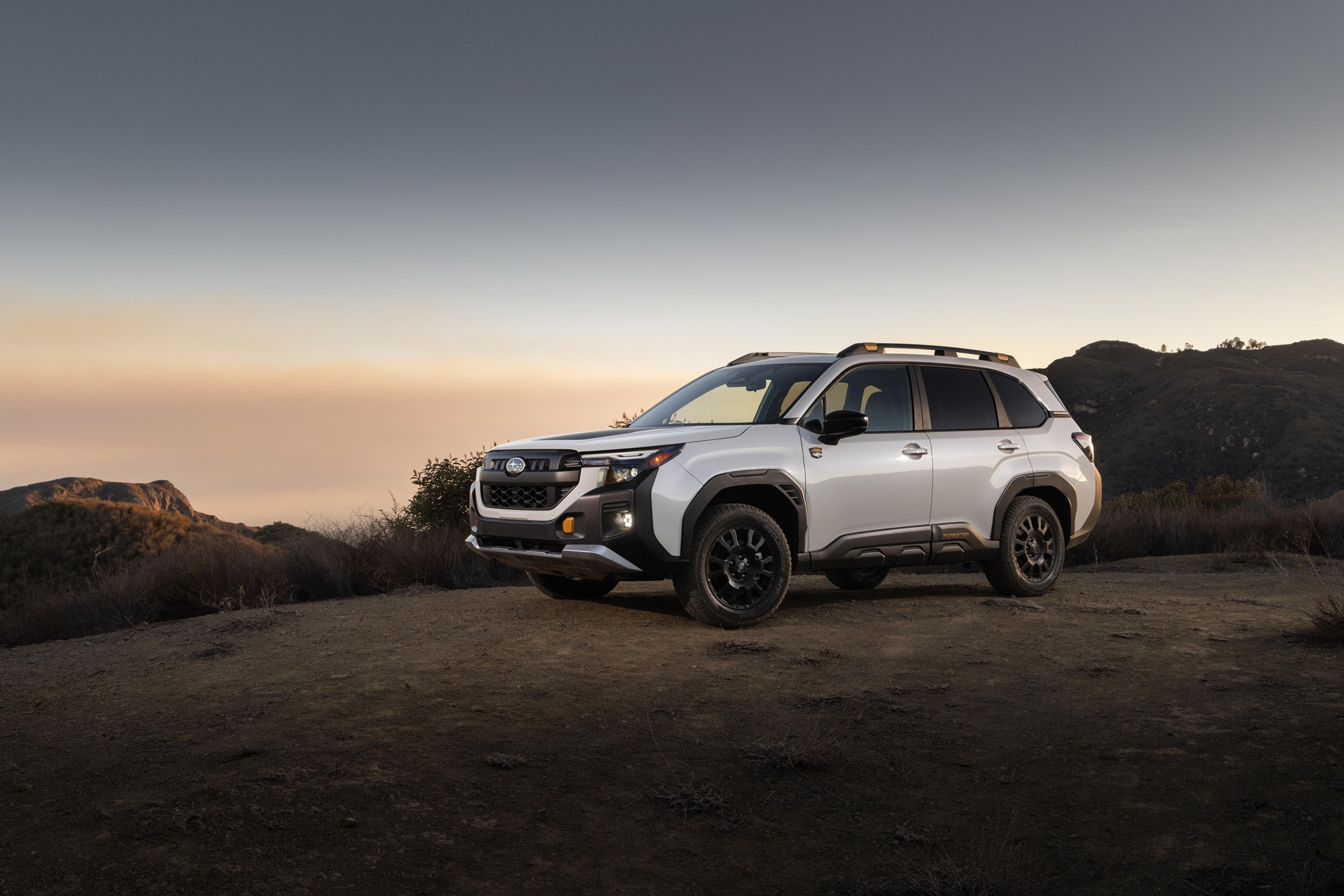 Caraganza Review 2026 Subaru Forester Wilderness: The Forester Finally ...